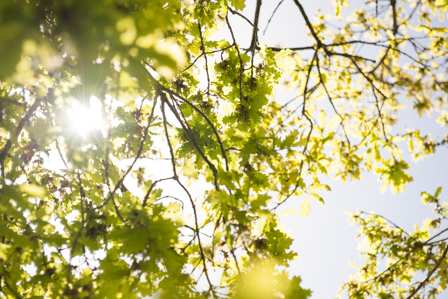 Geoff Geering Drive - Ashburton Sections | Ngāi Tahu Property